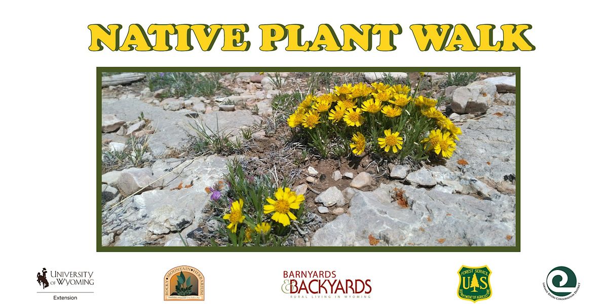 Native Plant Identification Walk, Laramie, 21 May 2024 | AllEvents