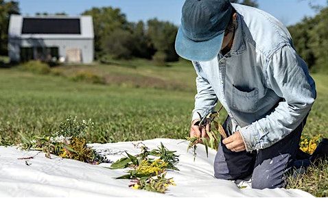 TOAST | In Conversation with Renewed Artists, May 12 to May 11 | Online ...