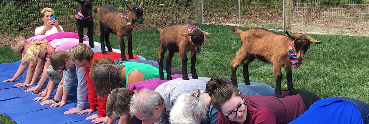 Goat Pilates/Yoga at the PEACE Farm, Saddleback Church Rancho ...