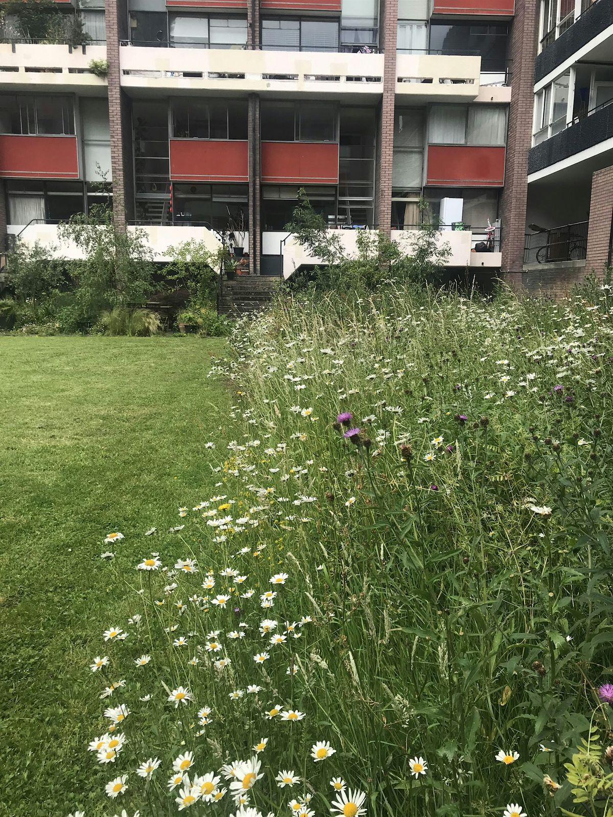 Gardening and Wild Spaces for Butterflies Workshop - Lambeth, The ...