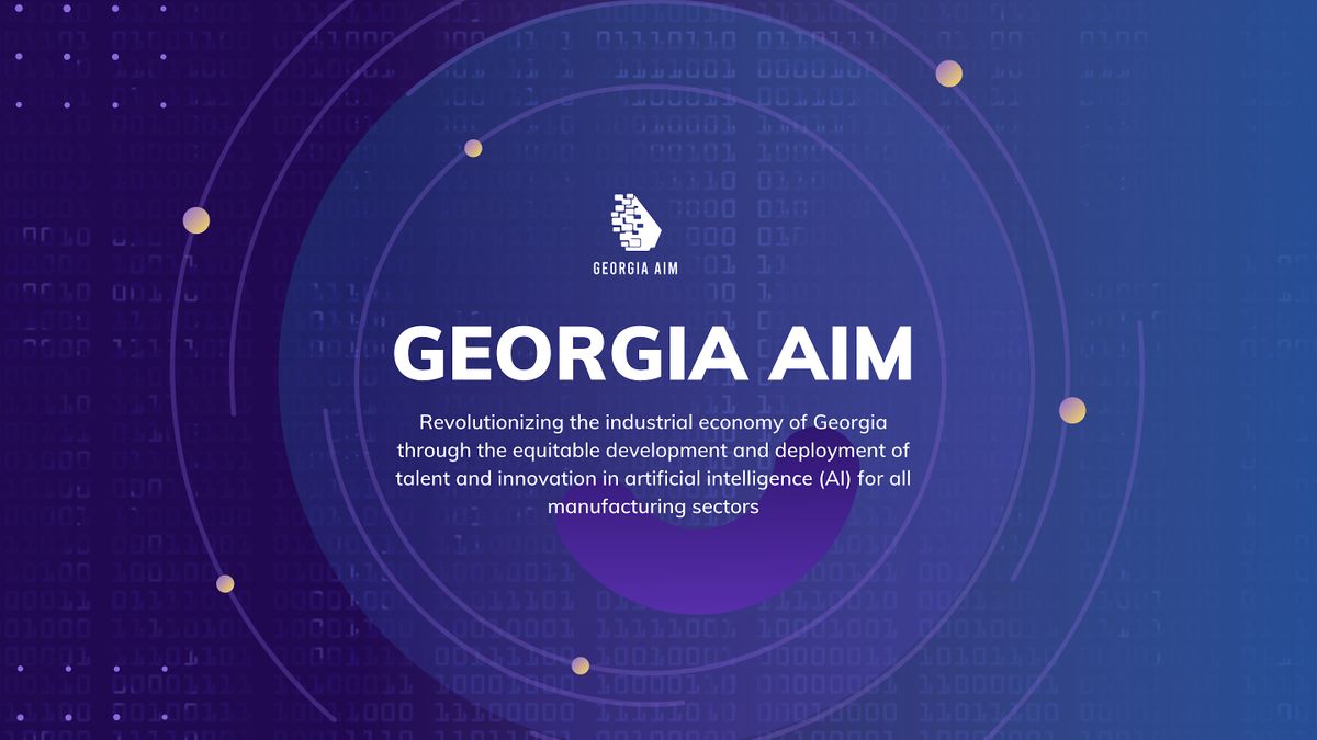 Georgia AIM Focus Group: Northwest Georgia, Georgia Northwestern ...