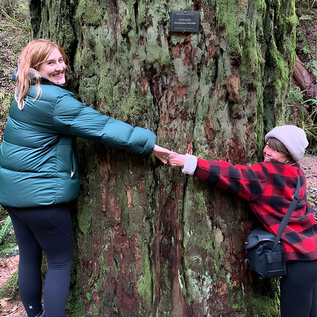 Forest Park Urban Hiking Tour, Portland , 2772 NW Thurman St, Portland ...