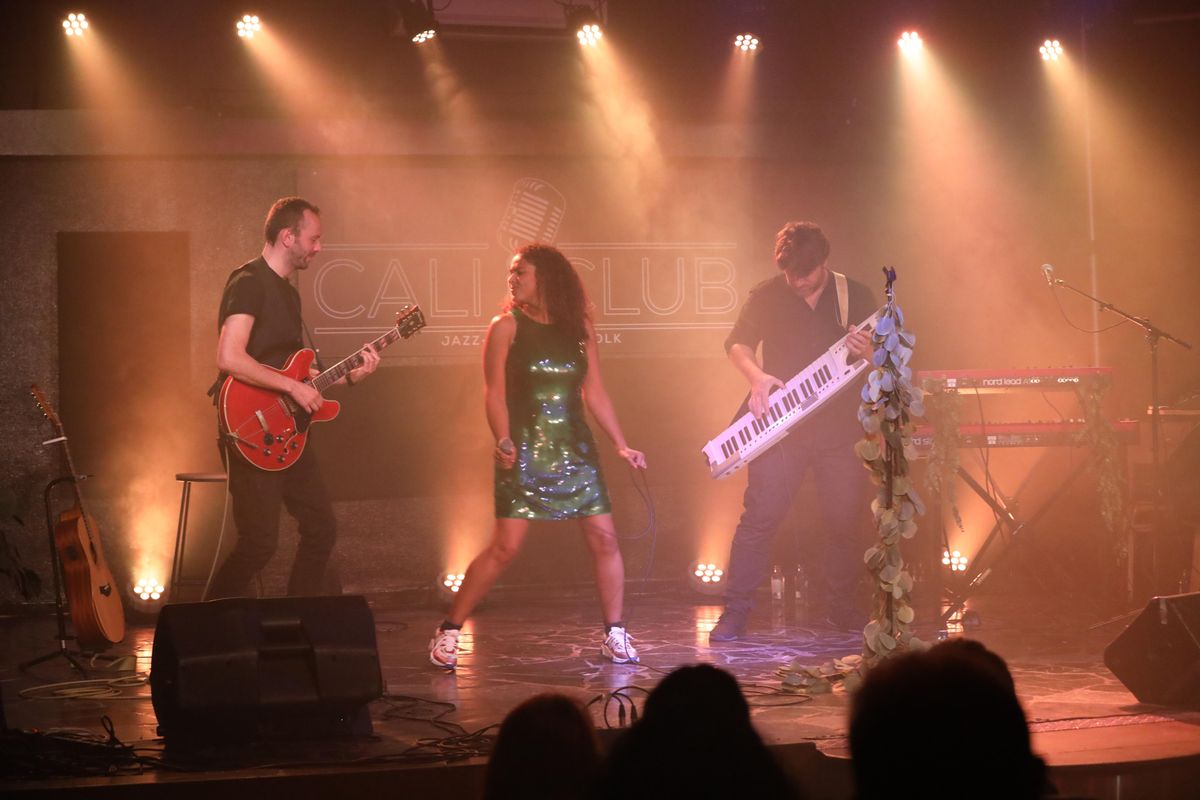 Lô Trêzou en concert, THEATRE MERCELIS, Ixelles, 1 February 2024 ...