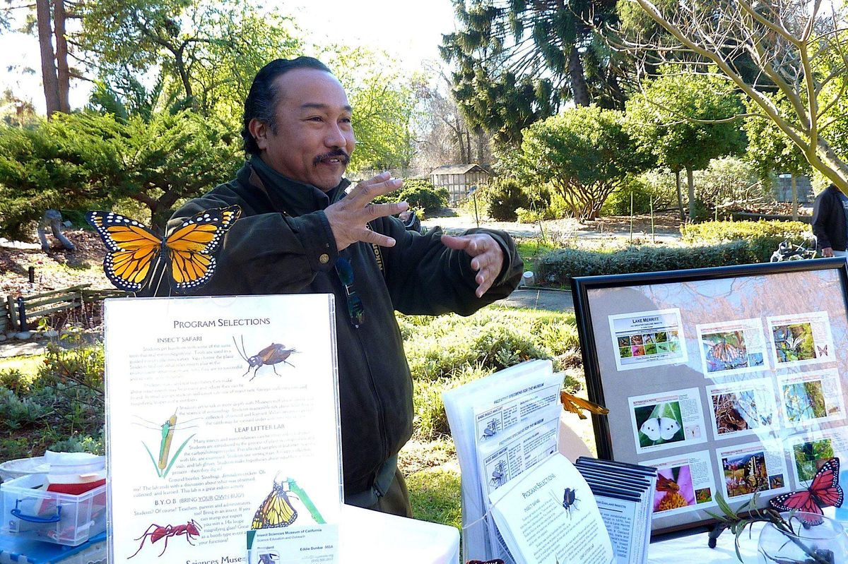 Insects of Lake Merritt and Surrounds with Eddie Dunbar, August 4 2023 ...