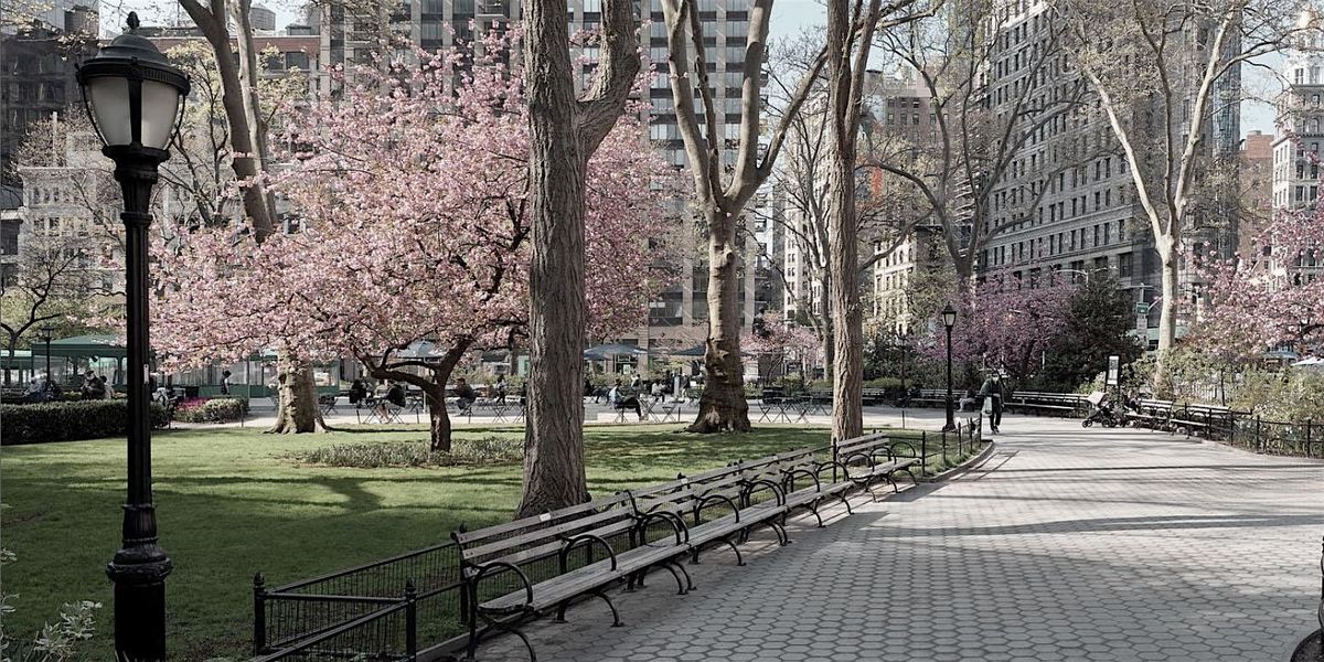 DRAM Walk and Talk: AI as an Artist or Collaborator, Madison Square ...