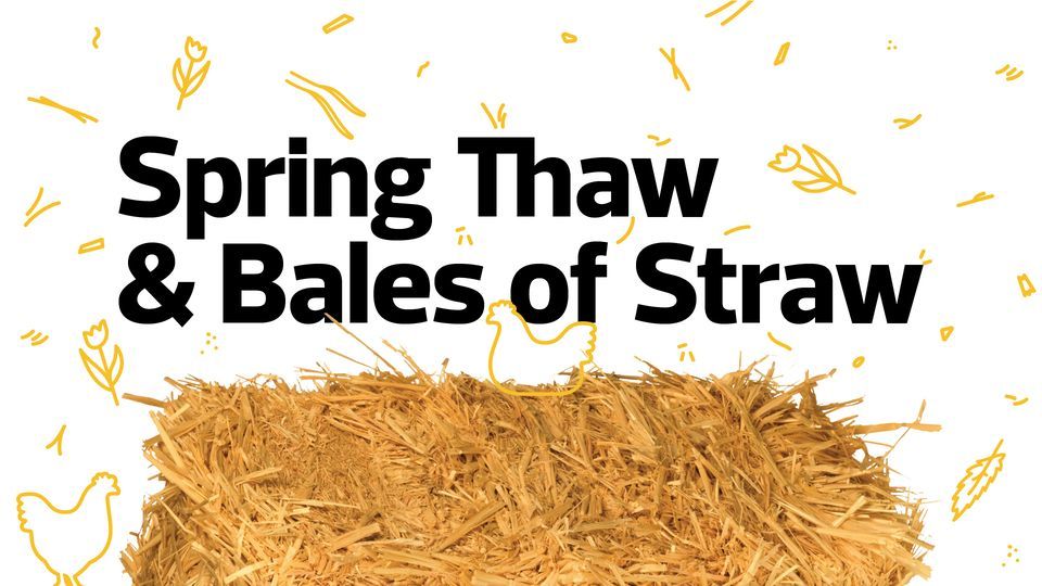 Spring Thaw & Bales of Straw, Queen Elizabeth Park, Nisku, 23 April ...