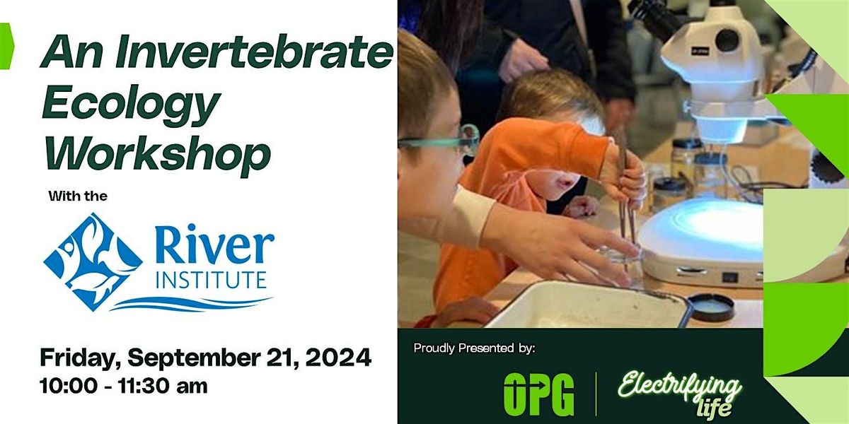Aquatic Invertebrates & Water Quality with The River Institute ...