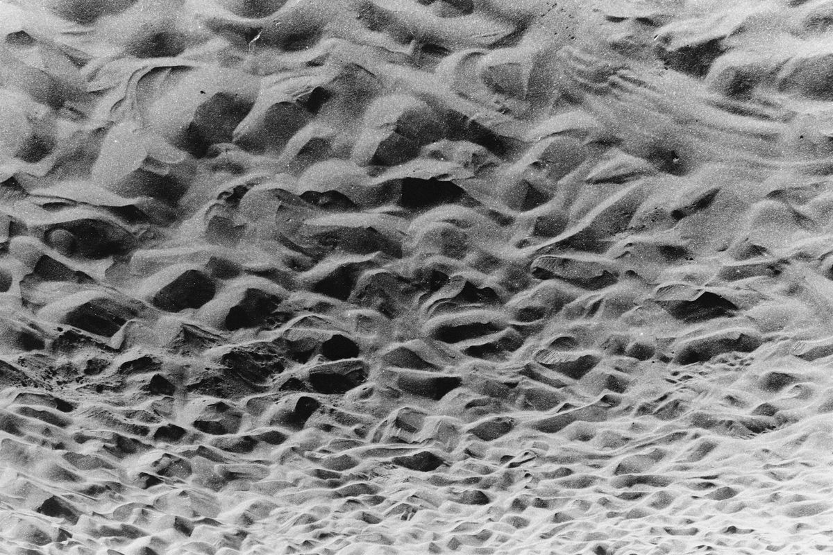 WILTON WAY LITERARY SALON - DANGER, Wilton Way Deli & Wines, Wilton Way ...