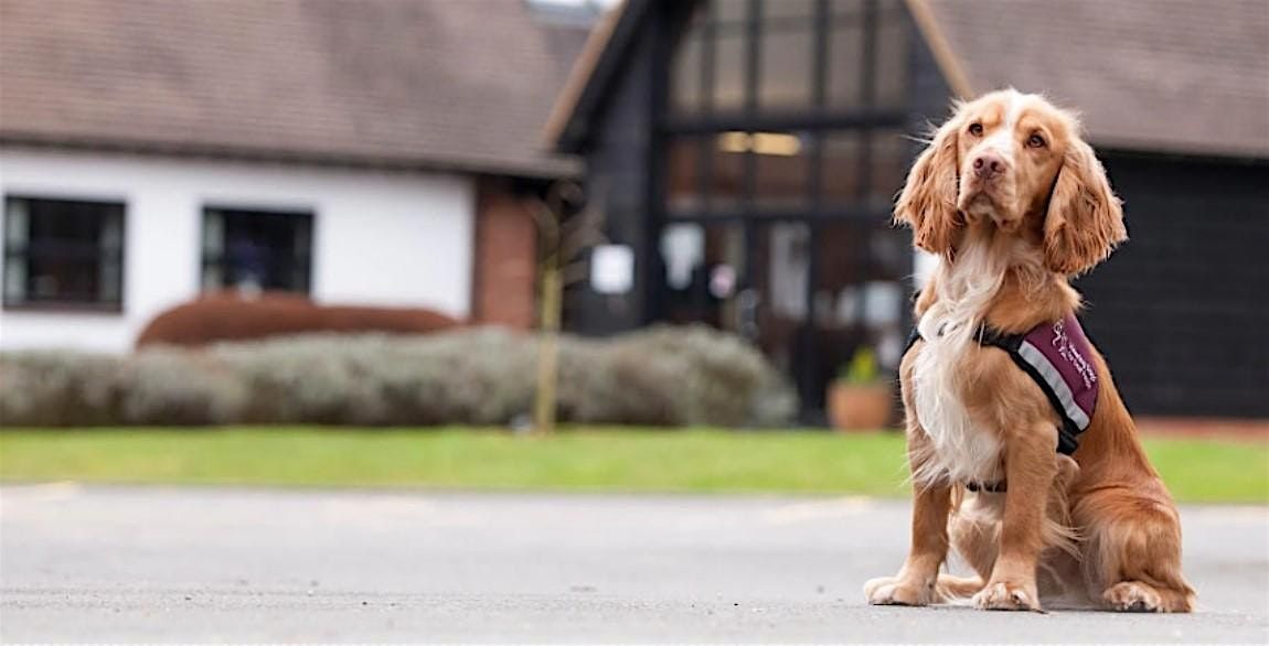 Hearing Dogs Tour - 14/05/2024, Hearing Dogs For Deaf People, Princes ...