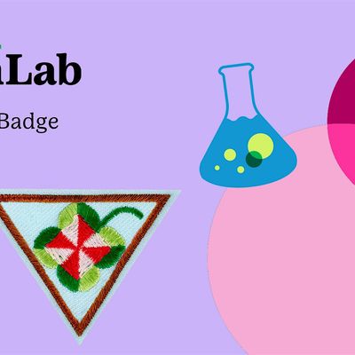 Brownie (2nd-3rd) Shapes in Nature Badge Workshop, Girl Scout DreamLab ...