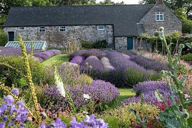 Visit to Mothecombe Gardens, Mothecombe Gardens, 22 May 2024 | AllEvents