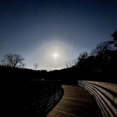 Full Moon Night Walk at Mason Mill Park, Mason Mill Park - South ...