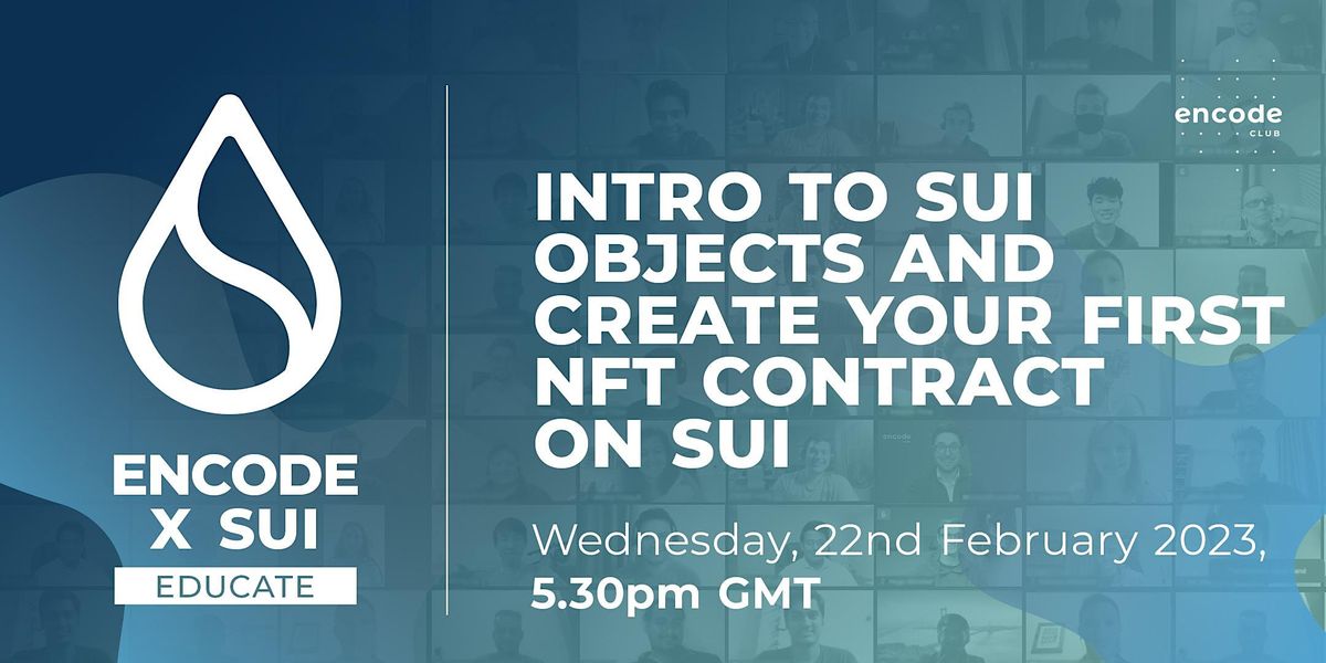Sui Educate: Intro to Sui Objects & Create your first NFT contract on ...