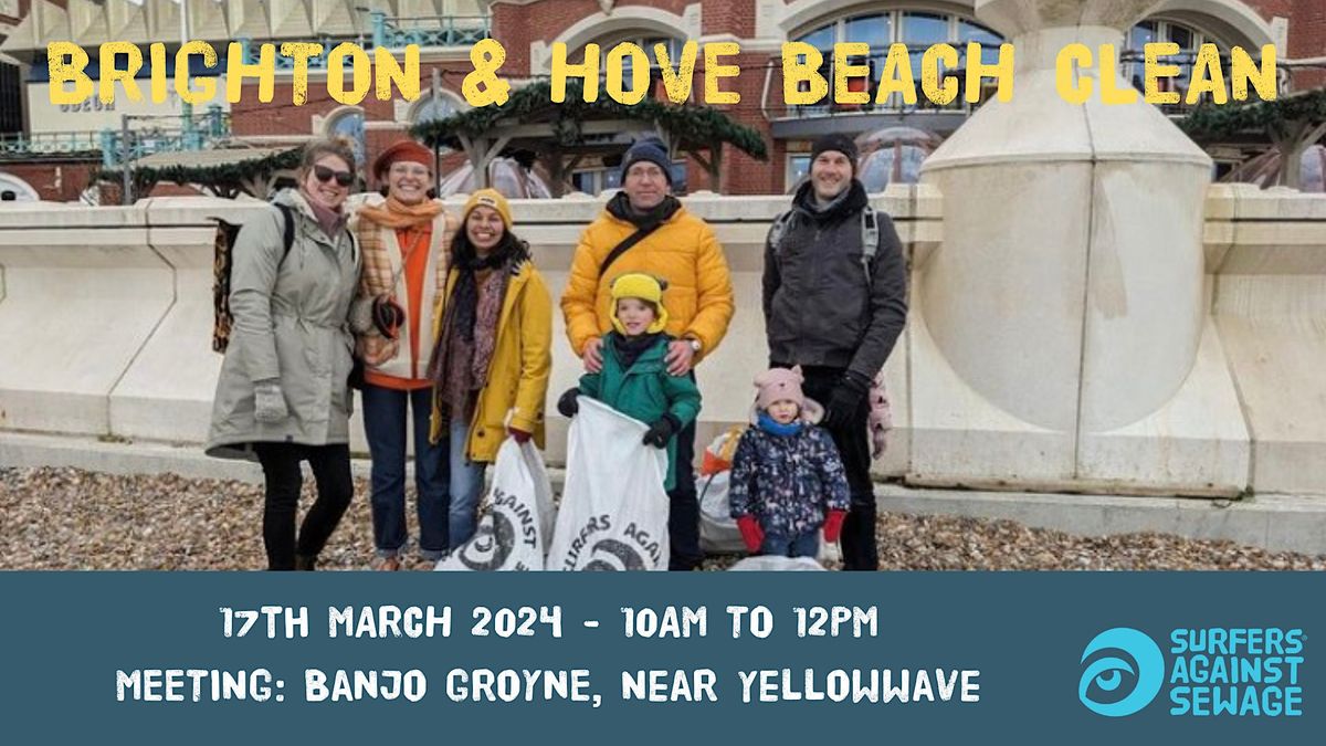 Brighton and Hove beach clean, Banjo Groyne, Brighton, 17 March 2024 ...