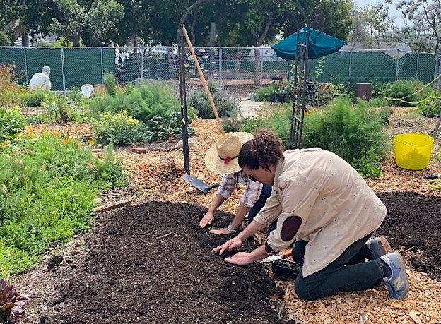 WISE-LA Goes Composting at Learning Garden, 13000 Venice Blvd., Los ...