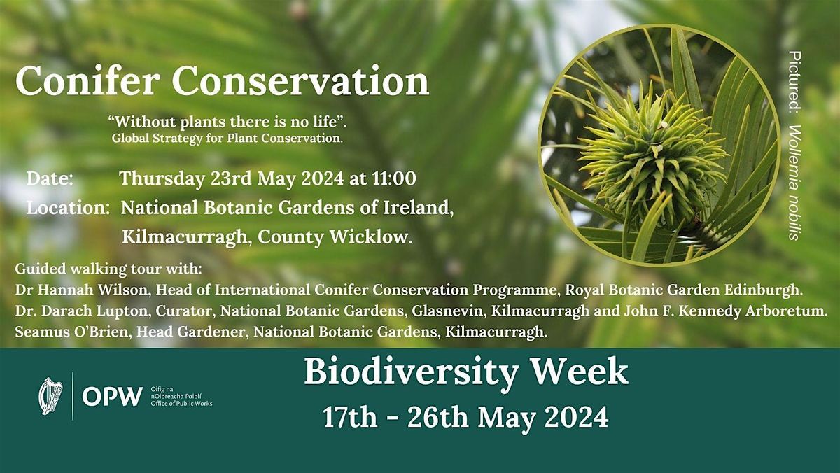 Conifer Conservation, National Botanic Gardens, Kilmacurragh, Kilbride ...