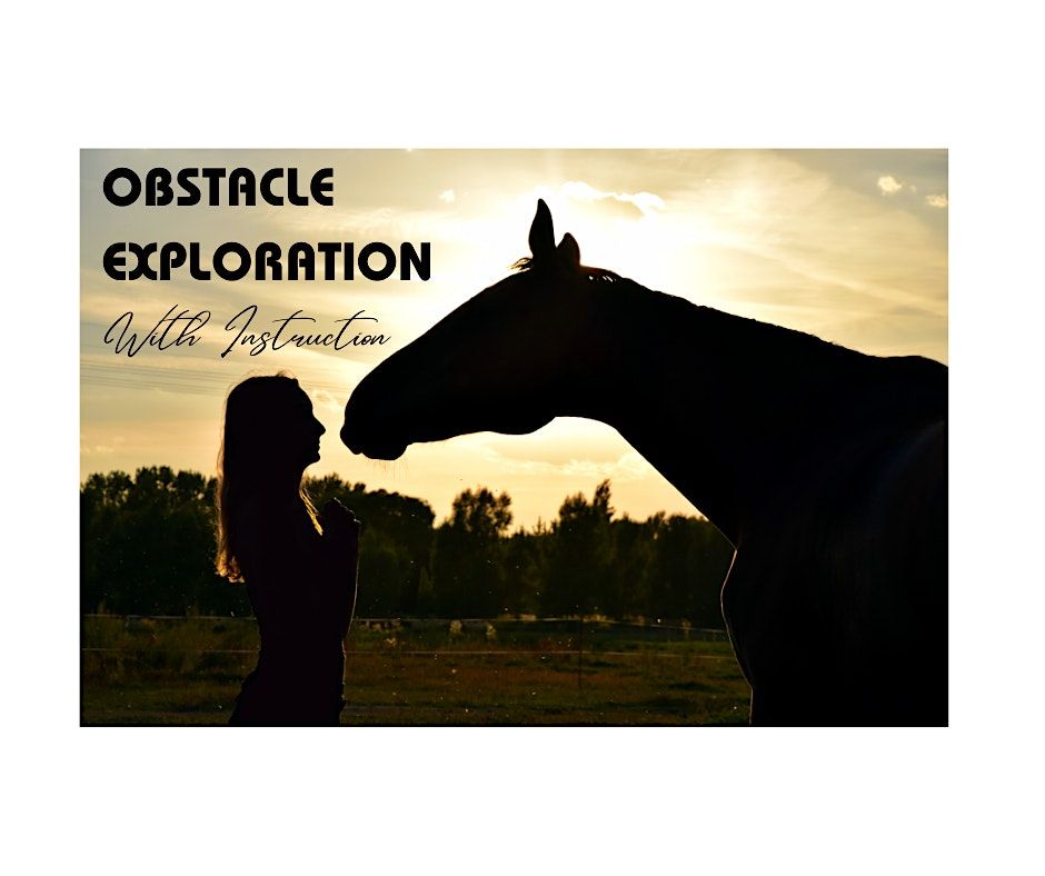 Equine Obstacle Exploration with Instruction, Lasata Farm, Coatesville ...