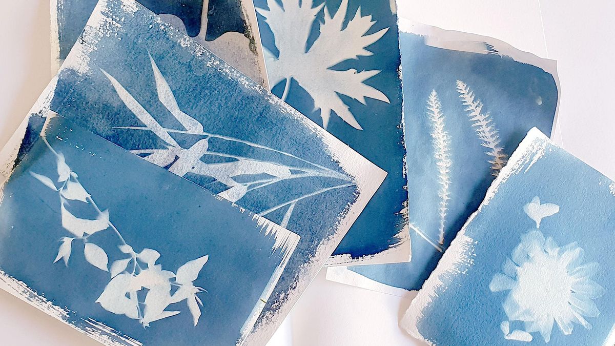 Print Cyanotypes with Short and Few - Printed Bound 2024, Sunny Bank ...