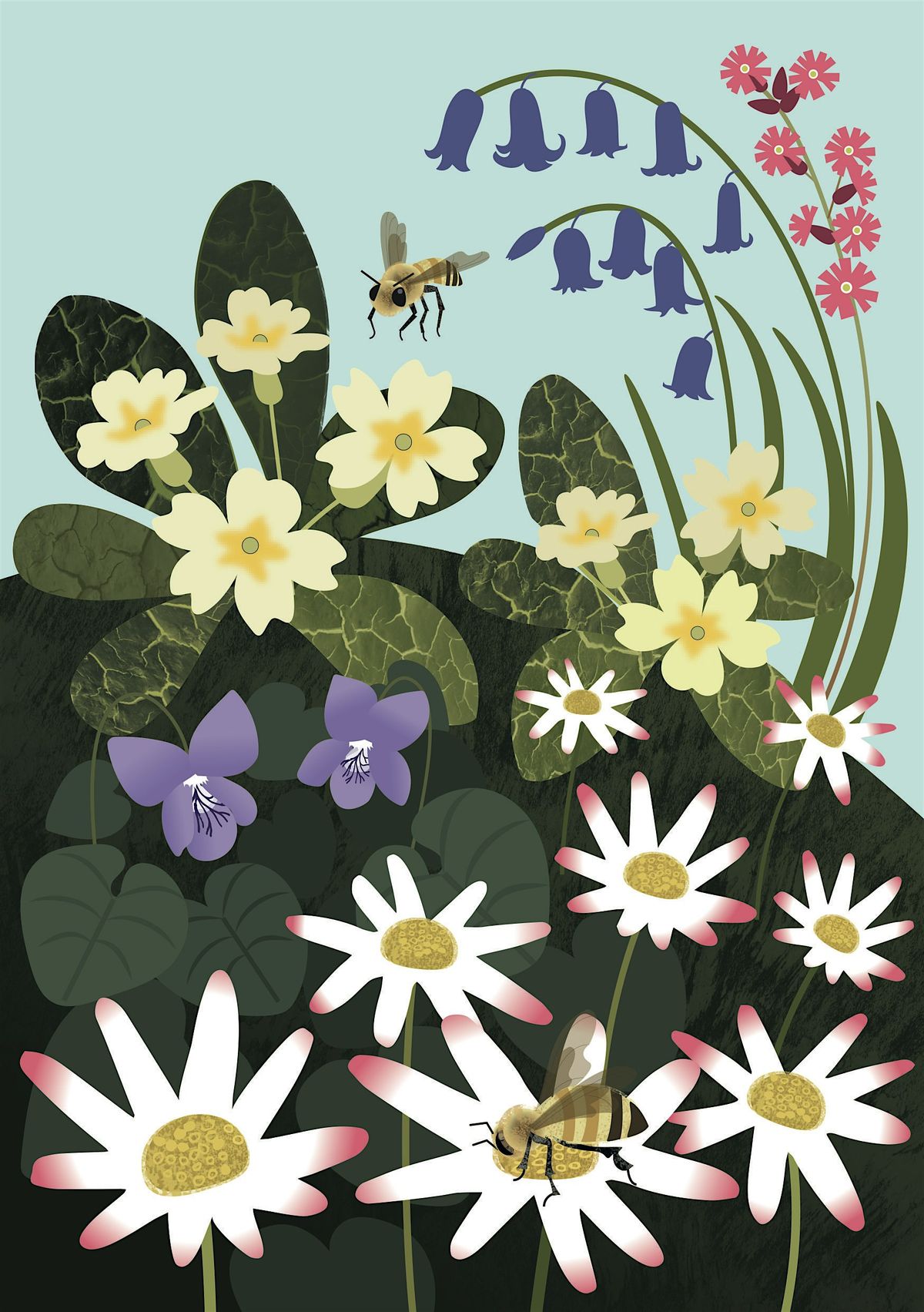 Our Green Planet Summer Holiday Day Camp for 8 to 12 year olds - Nature ...