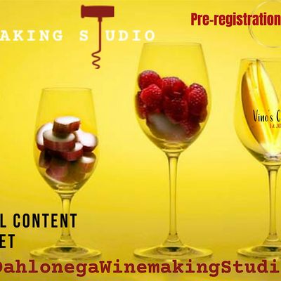 Make A Gallon of Wine (ANY FLAVOR), Dahlonega Winemaking Studio, 7 June to 28 September ...