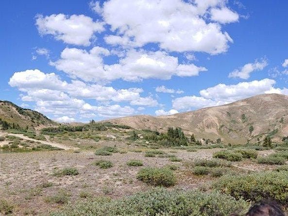 Fall Harvest Wellness Walk-Nature Bathing @ South Platte Park, South ...