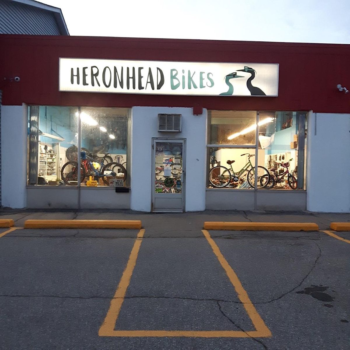 Basic Bicycle Repair & Maintenance - Young Adult/Adult (16 years old ...