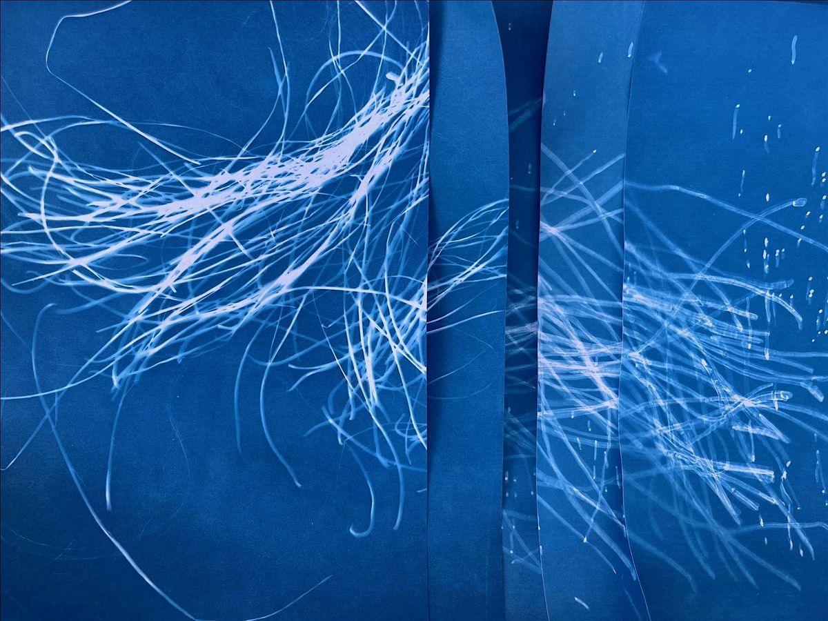 Printmaking with Cyanotype: An Artist Book , 3 Weeks, Ages 10-17, 4814 ...