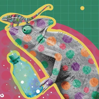Potions Cabinet - Family Art Workshop, Paper Bird, Fremantle, 6 July ...