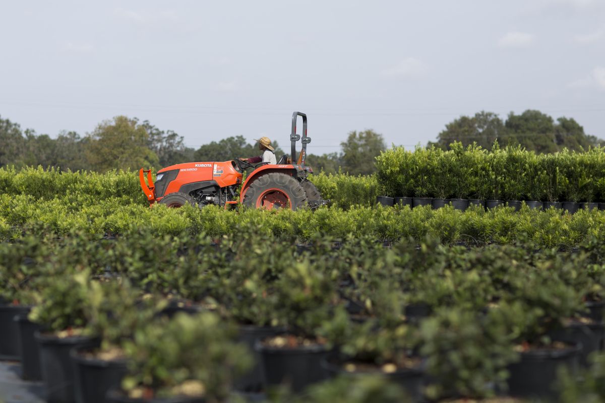 Private/Row Crop Applicator Pesticide Prep. Training, UF/IFAS Polk ...