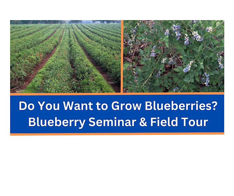 Do You Want to Grow Blueberries? Blueberry Seminar & Field Tour, Perry ...