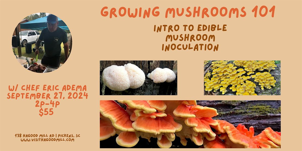 Growing Mushrooms 101: Intro to Edible Mushroom Inoculation, Hagood ...
