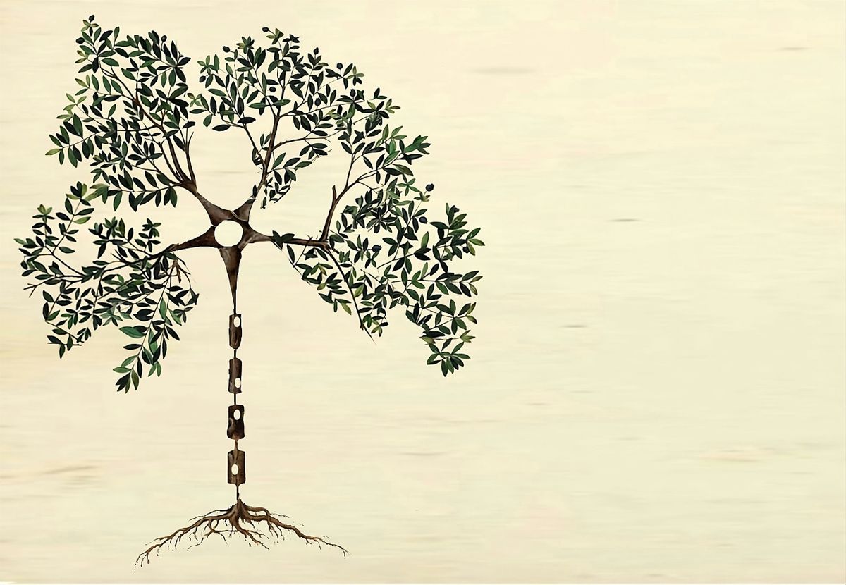 Spring Creative Process Workshop In-Person, Rain Dance Studio, Greene ...