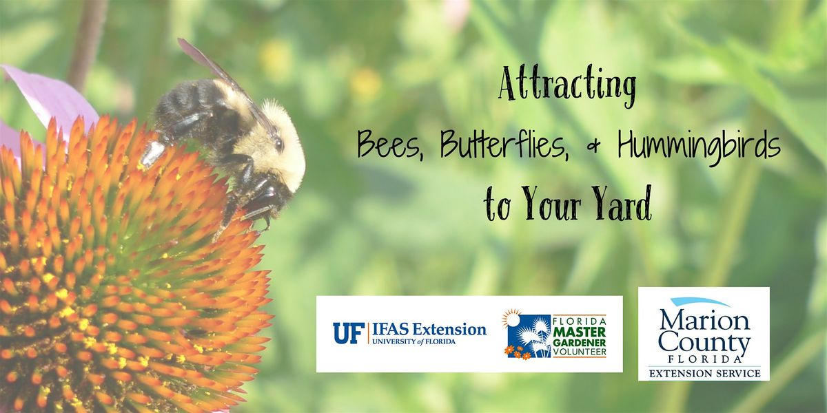 Attracting Bees, Butterflies, & Hummingbirds, One Health Center, Ocala ...