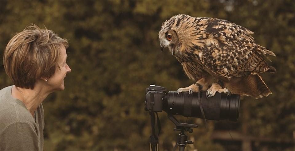 Photographing Falconry Workshop, Castle Bromwich Hall Gardens Trust ...