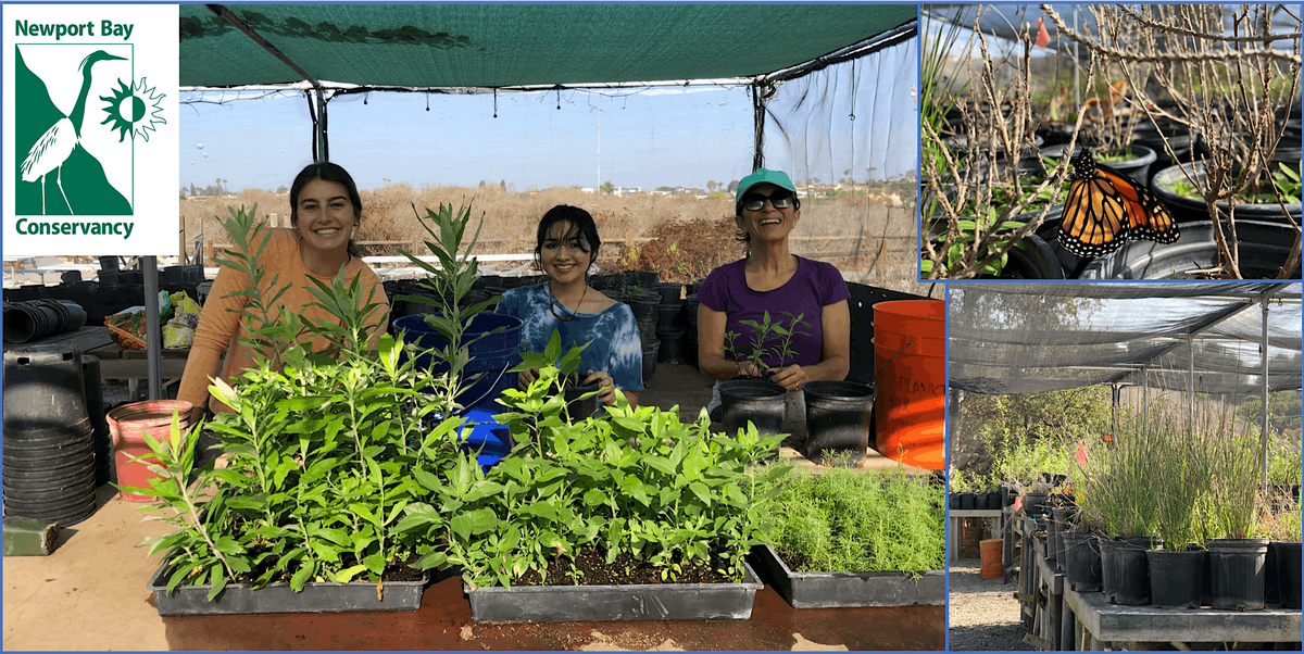 Sow and Grow Fridays, Back Bay Science Center, Newport Beach, 8 ...