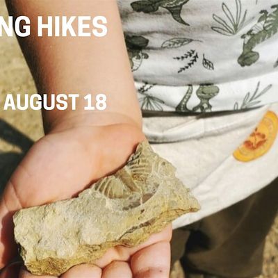 Fossil Hunting Hikes at Quarry Hill, Quarry Hill Nature Center ...