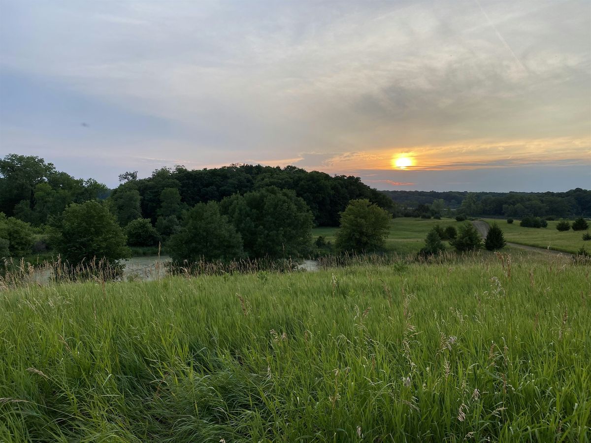 Intuition Deep Connection, Charlson Meadows, Victoria, 28 August 2024 ...