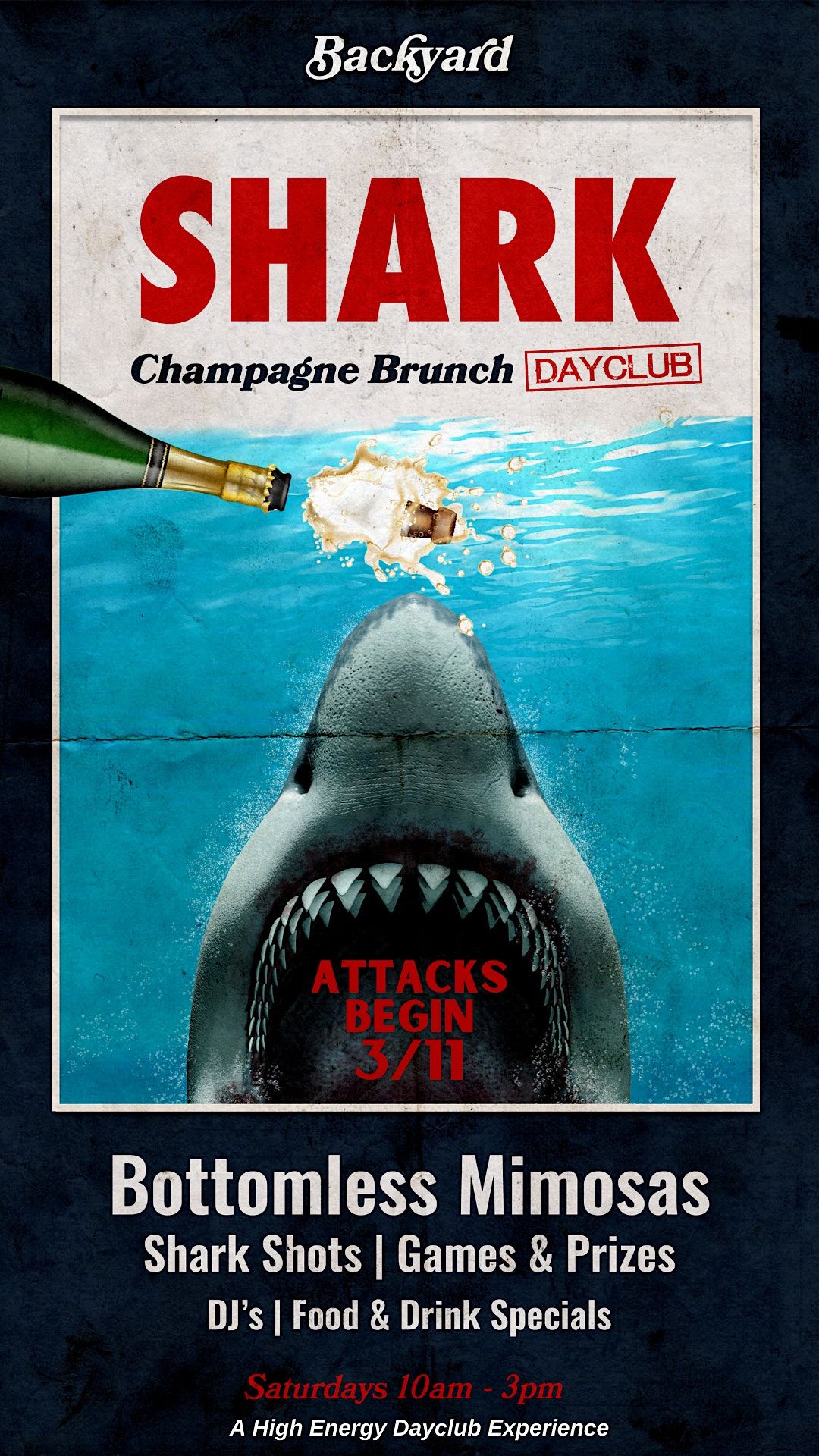 Pacific Beach Champagne Brunch DAYCLUB, Backyard Kitchen & Tap, San ...