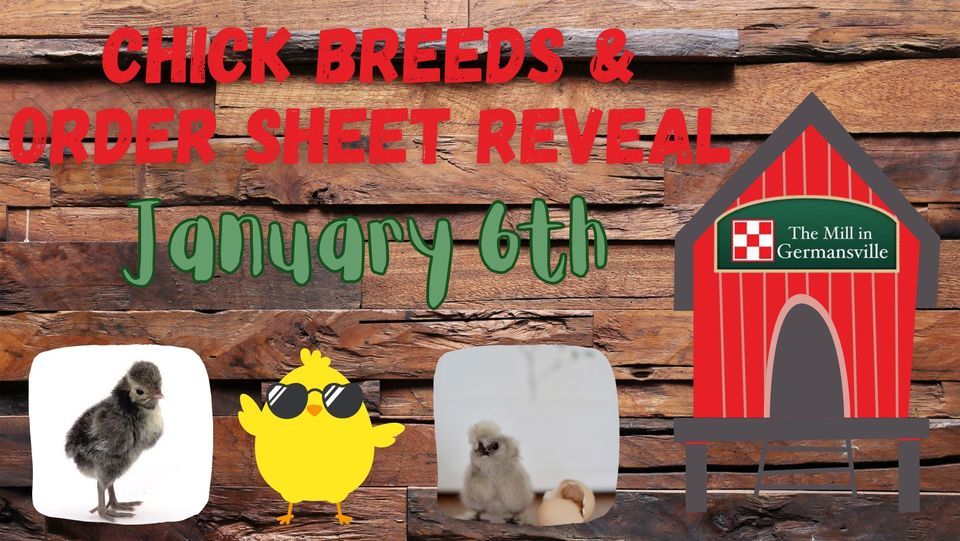 2024 Chick Breeds & Order Sheet Reveal, 7130 Bake Oven Rd, Germansville ...