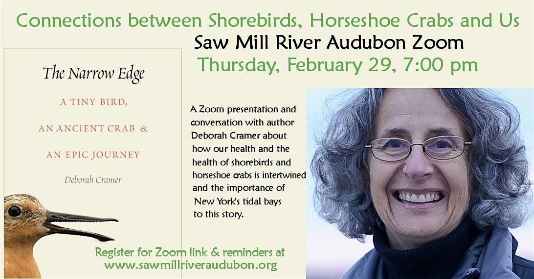 Connections Between Shorebirds, Horseshoe Crabs and Us: Deborah Cramer ...
