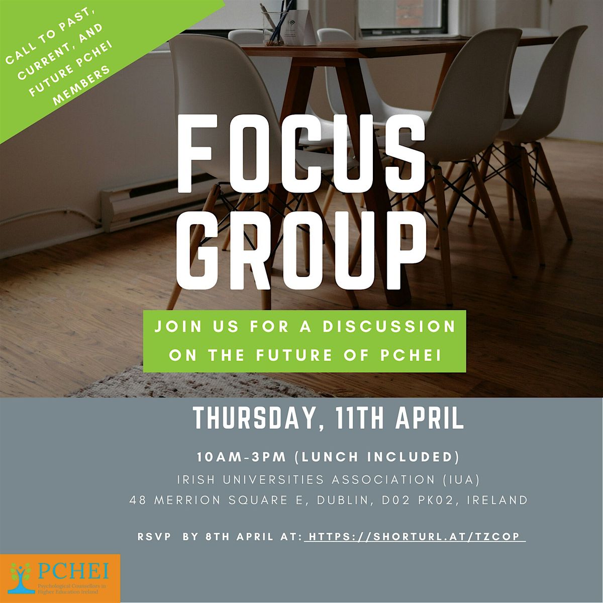 PCHEI External Focus Group Session, Irish Universities Association ...