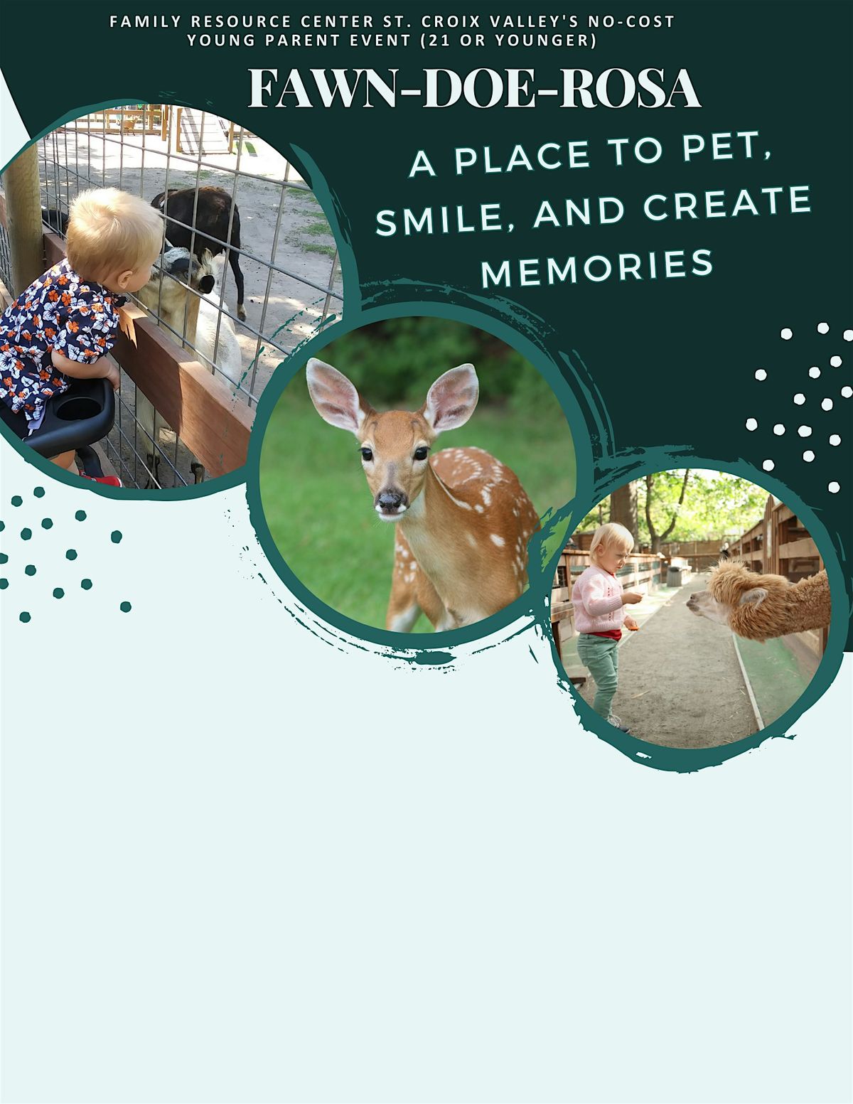 Young Parent Special Event | Fawn- Doe- Rosa, FAWN-DOE-ROSA Wildlife ...