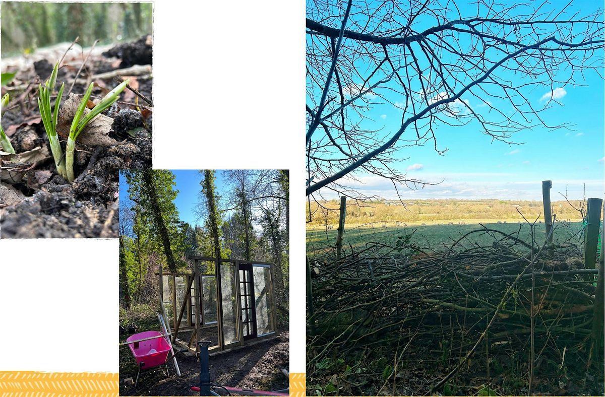 Easter Family Project Day, Evenley Wood Garden, Brackley, 9 April 2024 ...
