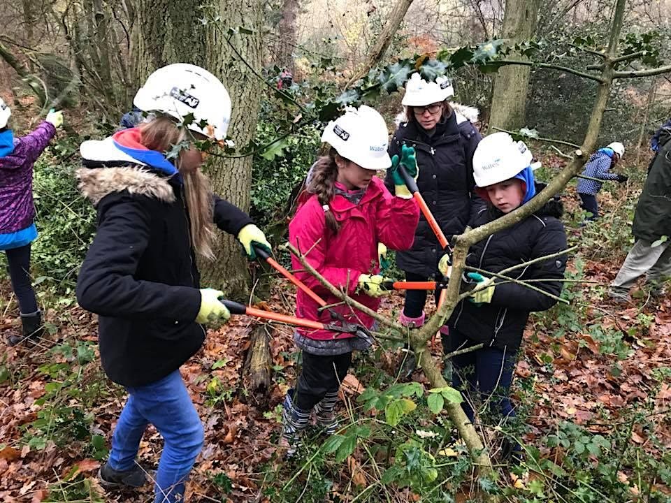 Action for Nature with Uniformed Groups (age 10+), Nower Wood ...