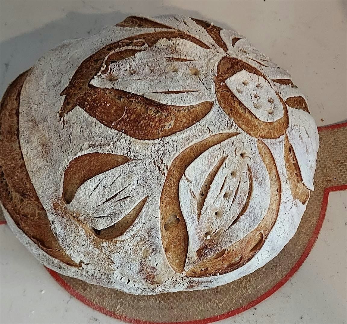 Sourdough Start Up, Bella Rose Designs, Greenwood, 13 April 2024 ...