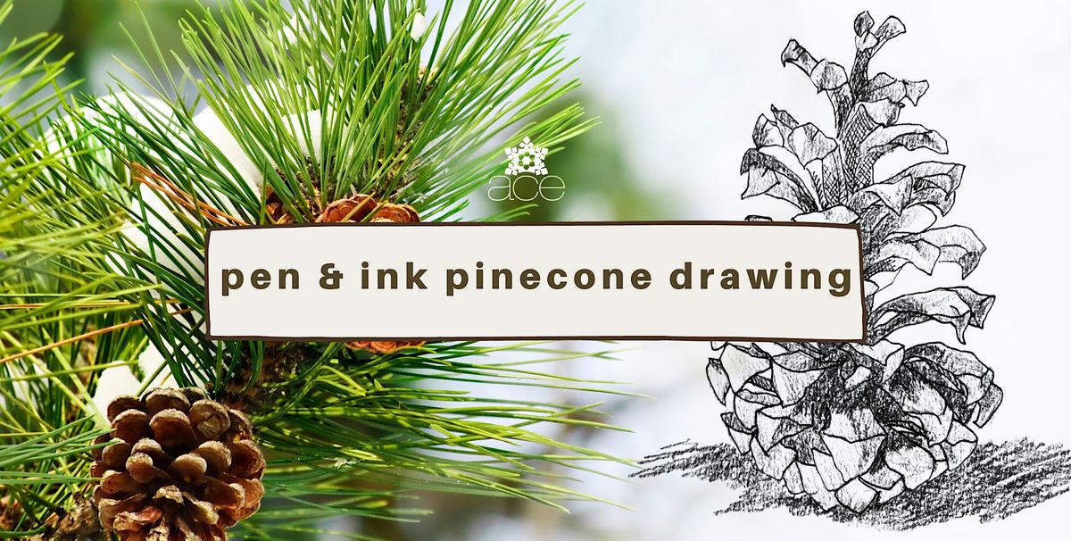 Pine Cone Ink Drawing