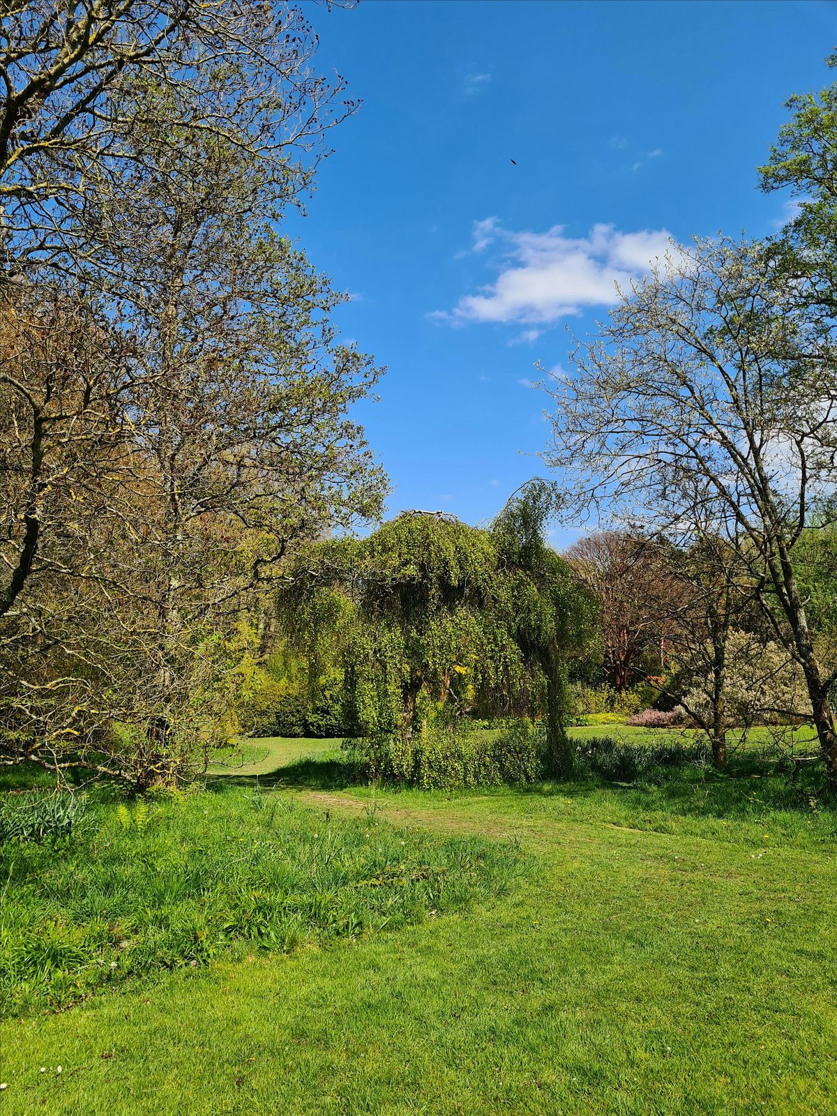 Embracing Spring Wellness Walk / Taith Gerdded Lles Cofleidior Gwanwyn ...