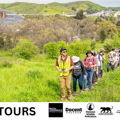 Wallis Annenberg Wildlife Crossing Docent Tour, 27571 Agoura Rd, Agoura ...