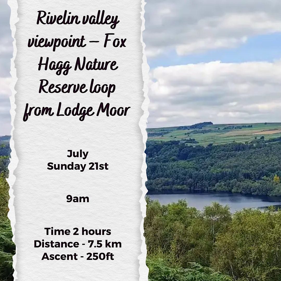 Social walk - Rivelin valley viewpoint - Fox Hagg Nature reserve loop ...