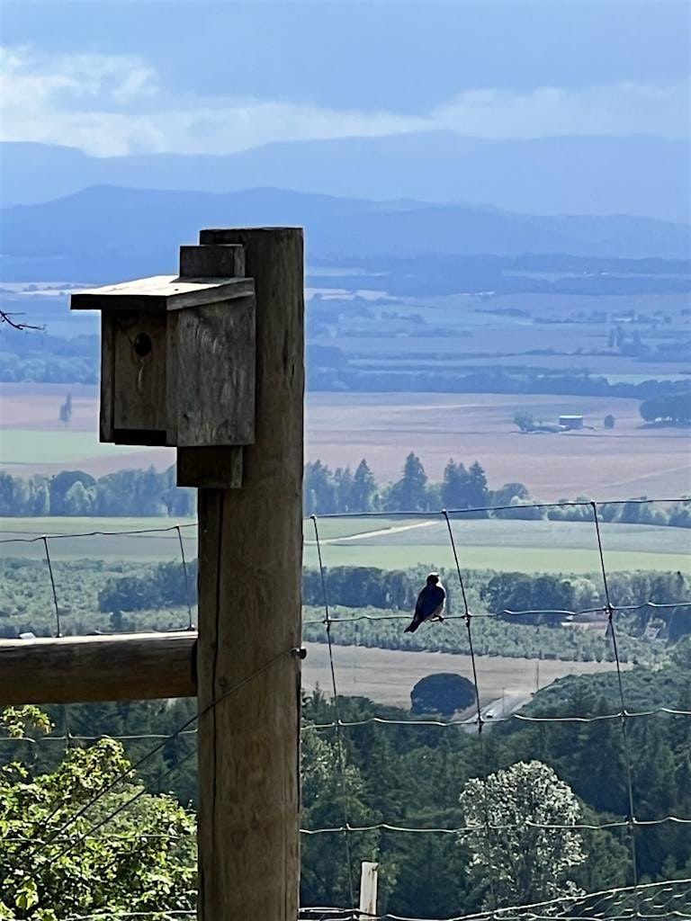 Cortell Collection Wine Tasting Series 2 with Dr. J - Birds, Carlile's ...